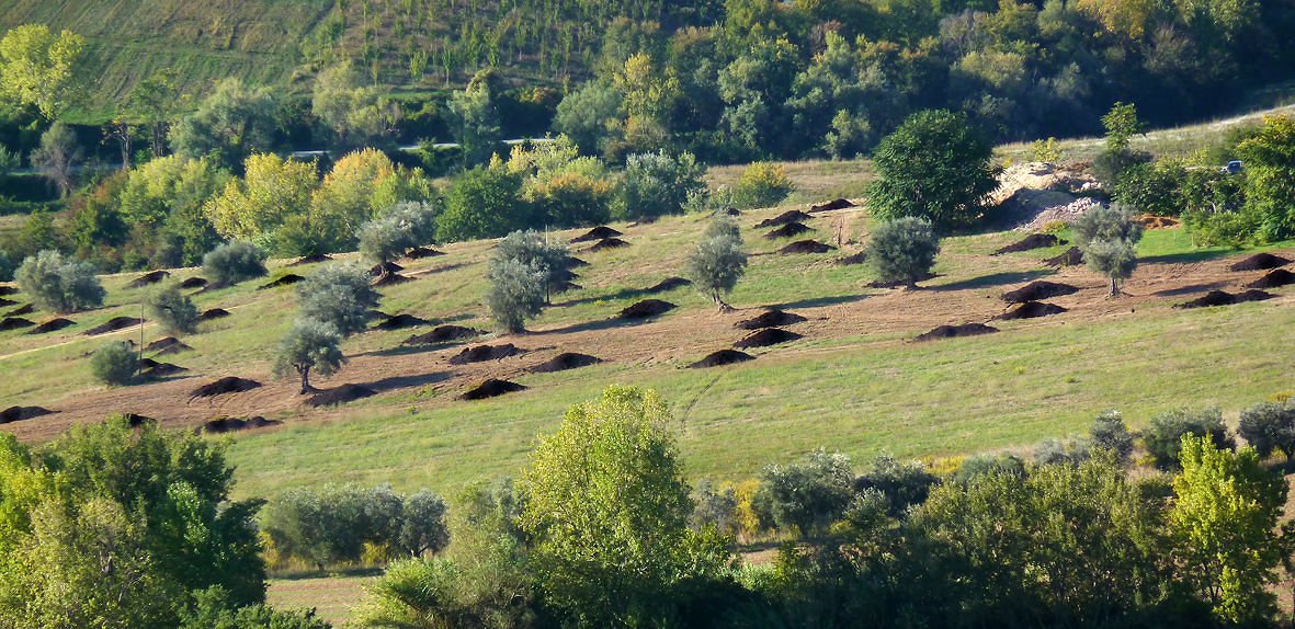 Colonnella, i cattivi odori del fertilizzante e le verifiche sulla ...