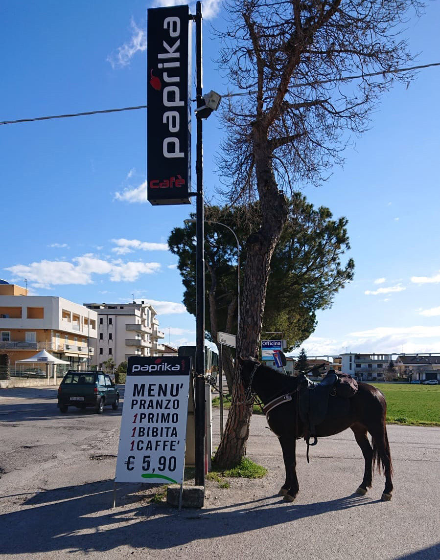 ?PAPRIKA CAFE' ? Un pranzo fast con cucina espressa no surg. ad un ...