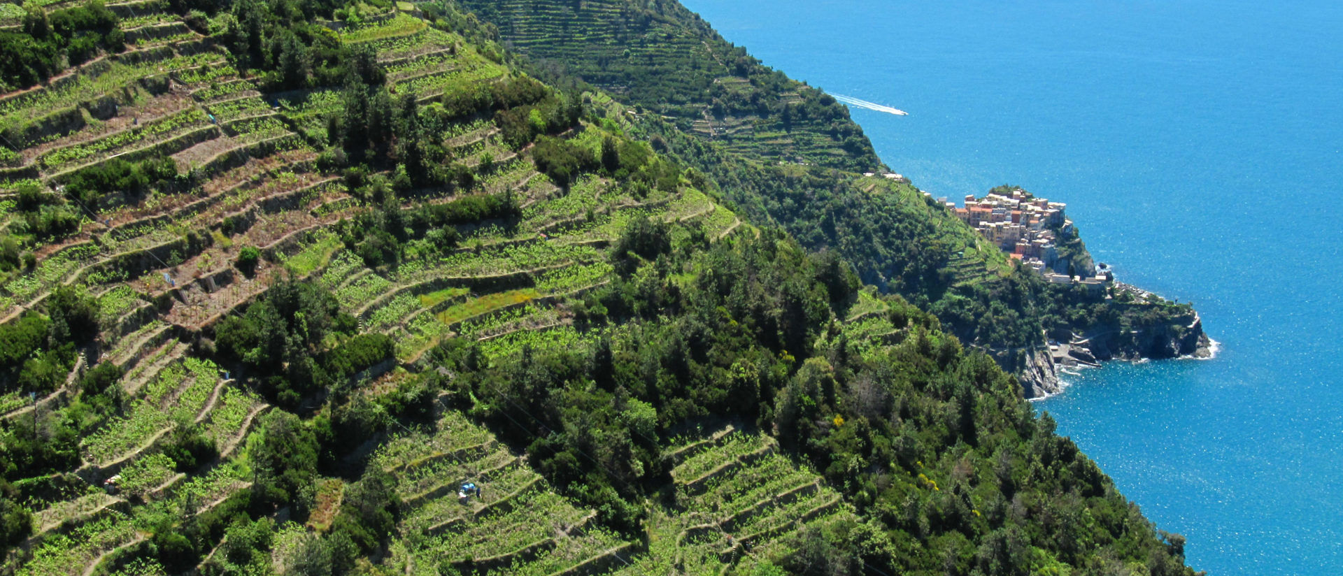 Giro d'Italia enogastronomico: Liguria - Abruzzo Cityrumors
