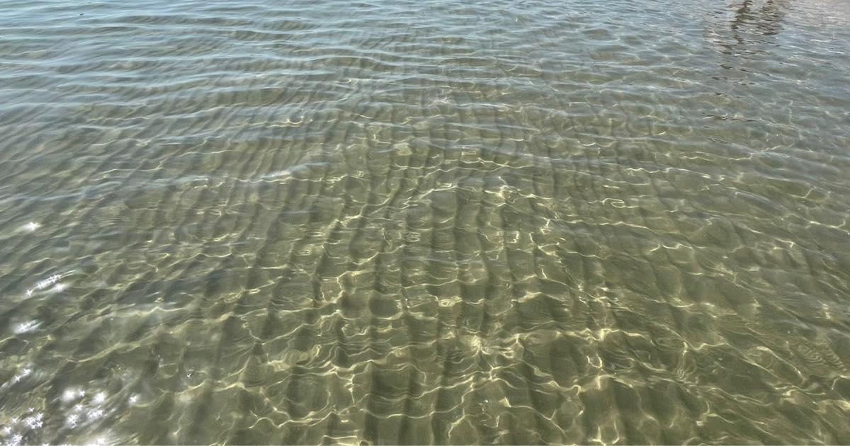 Acque balneazione: il mare abruzzese gode di ottima salute - Abruzzo ...