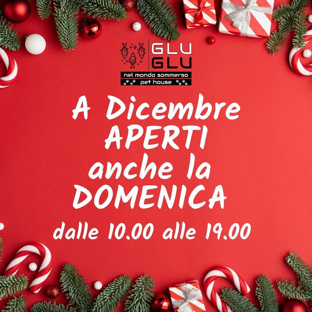 Da GLU GLU pet house Sant'Omero è arrivato il Natale! - Abruzzo Cityrumors