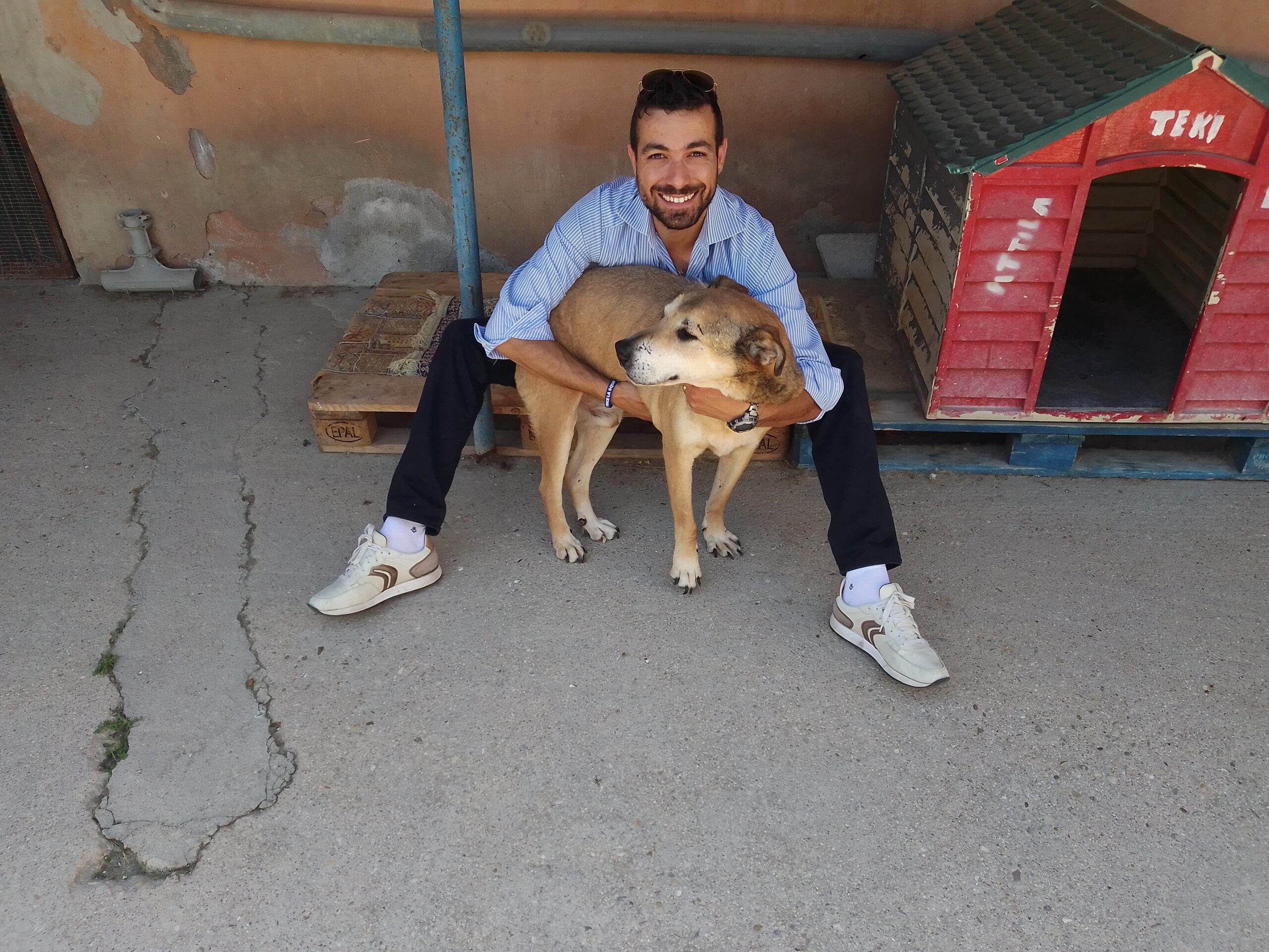 Canile comunale di Teramo, "Che intenzioni ha l'amministrazione ...