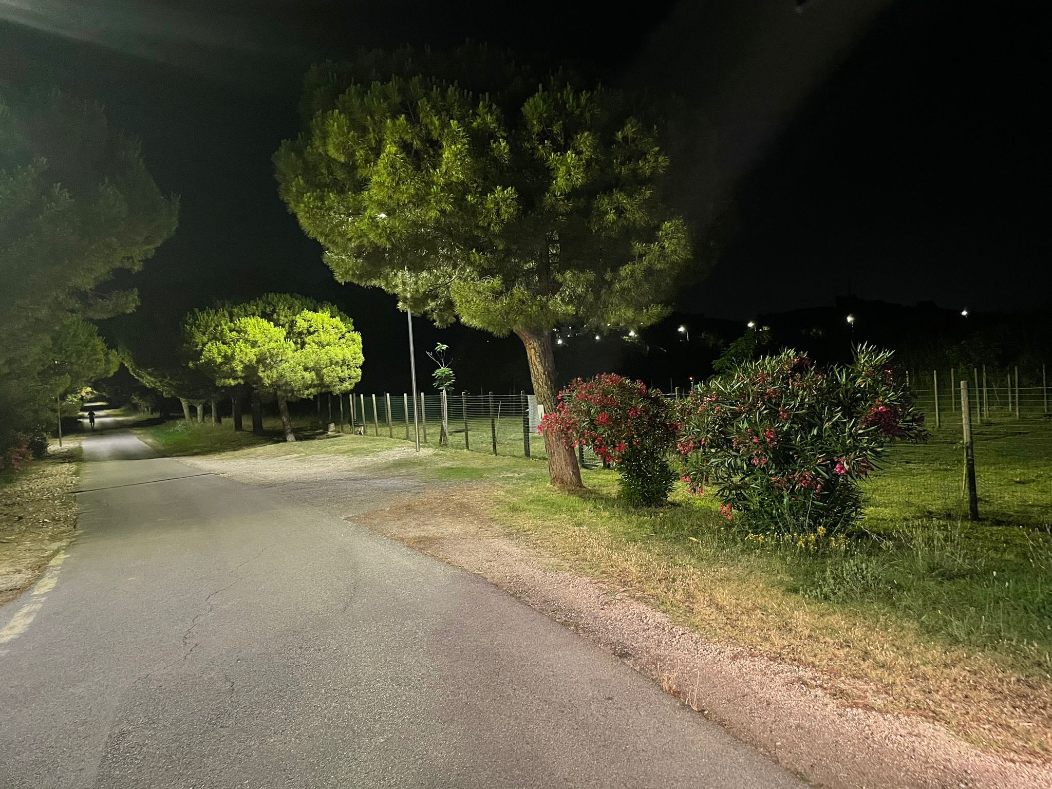 Arriva l'illuminazione in via delle Rose e nell'area di sgambamento ...